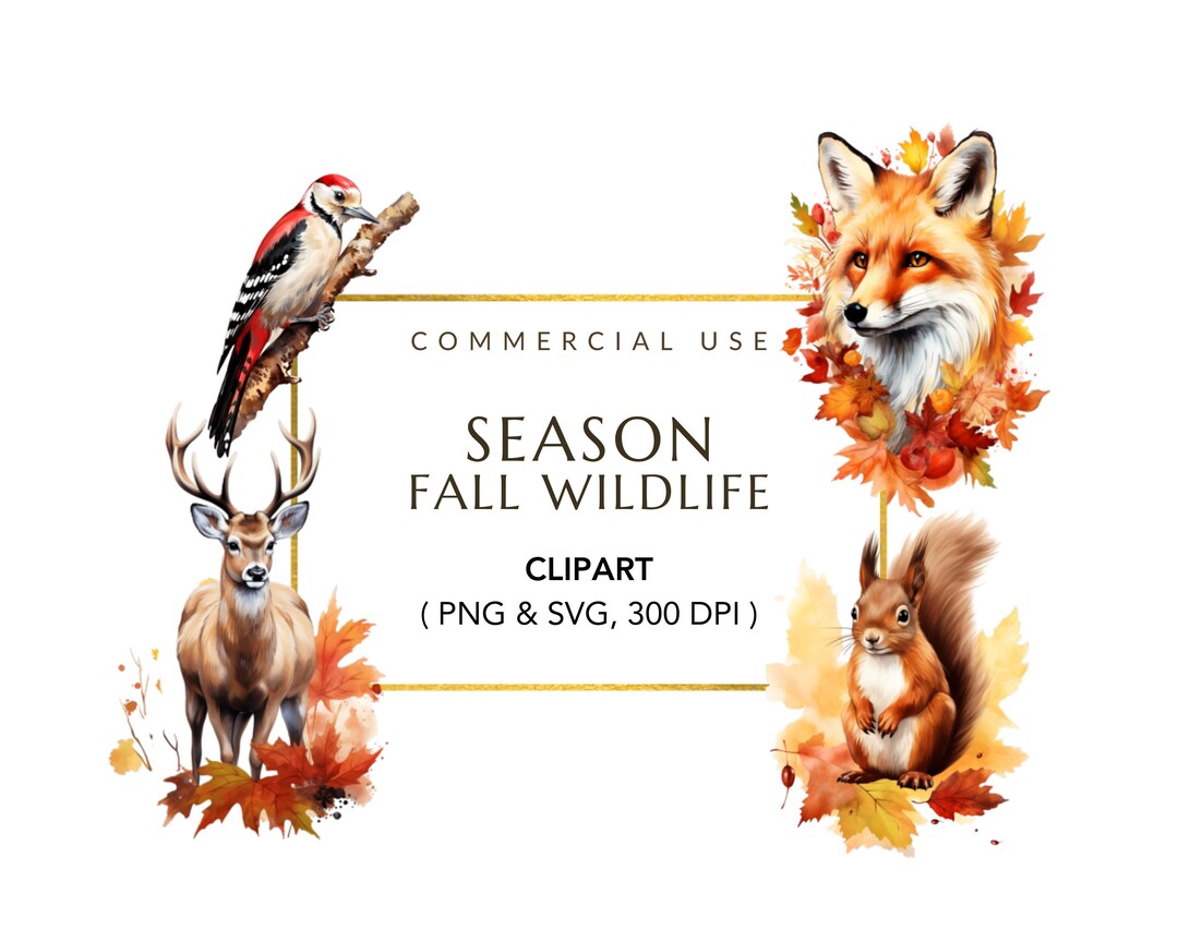 Autumn Animals Watercolor Clipart Bundle, Deer, Bear, Wolf, Bunny, Owl ...