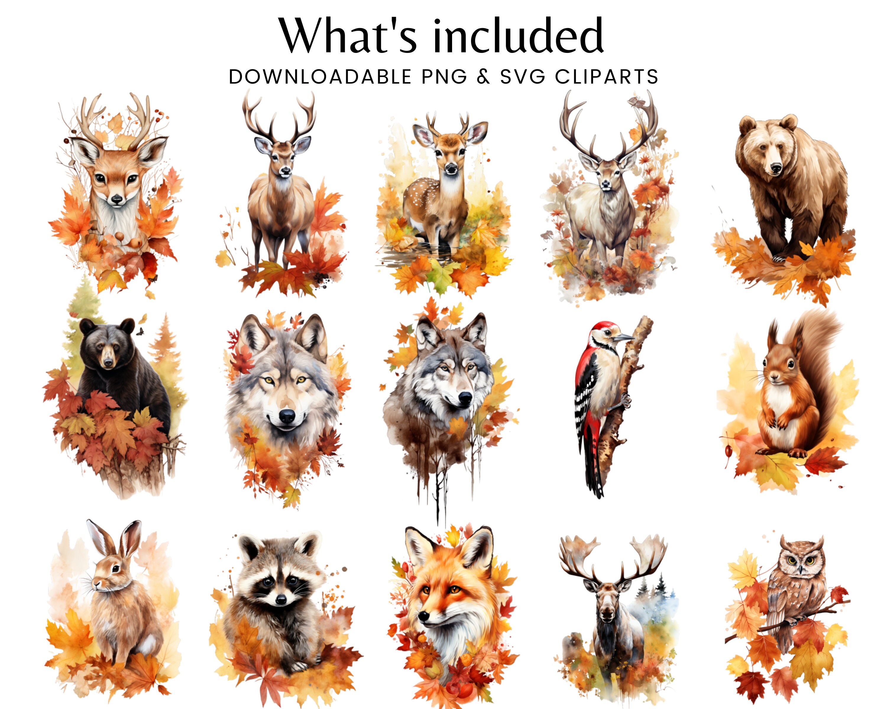 Autumn Animals Watercolor Clipart Bundle, Deer, Bear, Wolf, Bunny, Owl ...