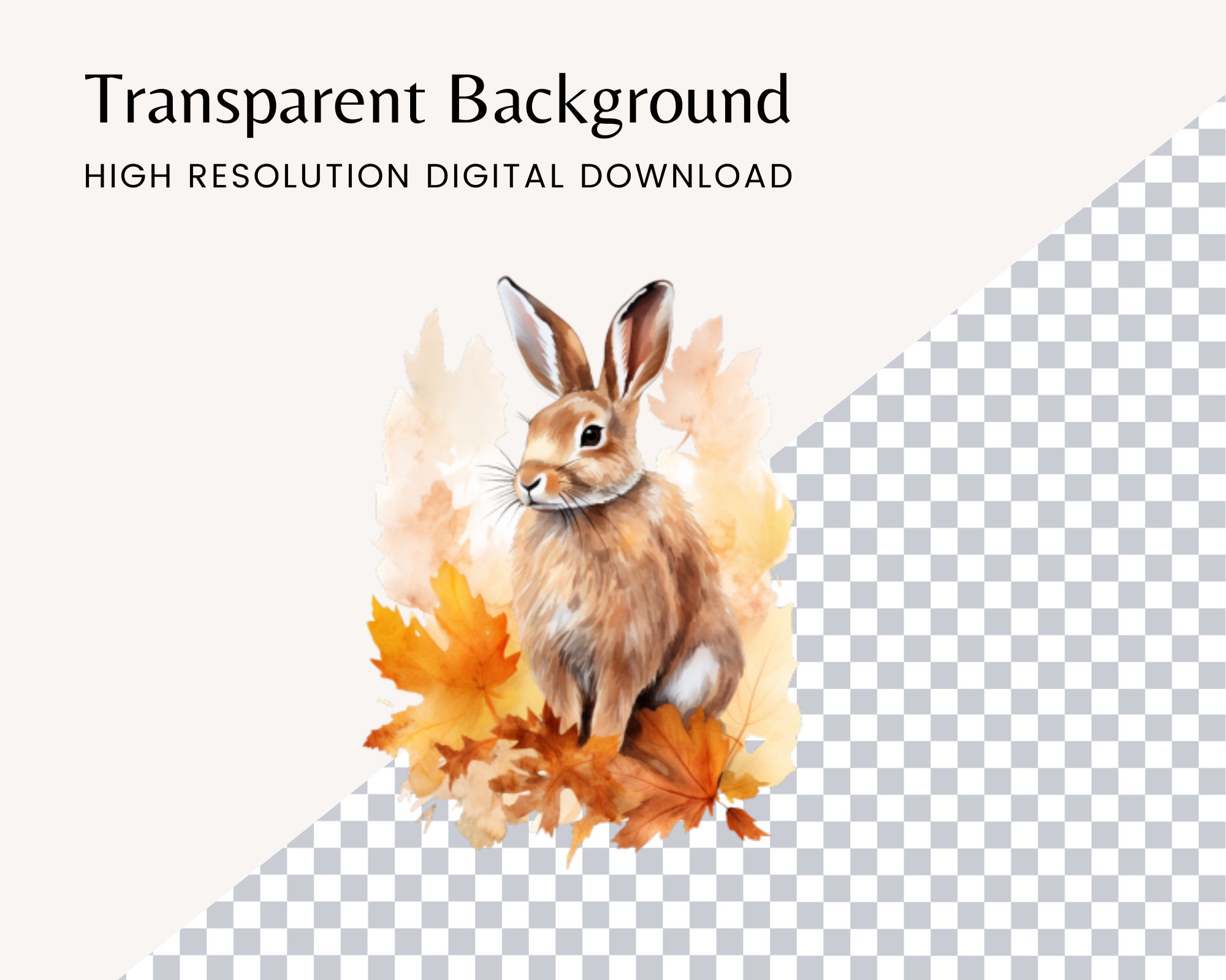 Autumn Animals Watercolor Clipart Bundle, Deer, Bear, Wolf, Bunny, Owl ...