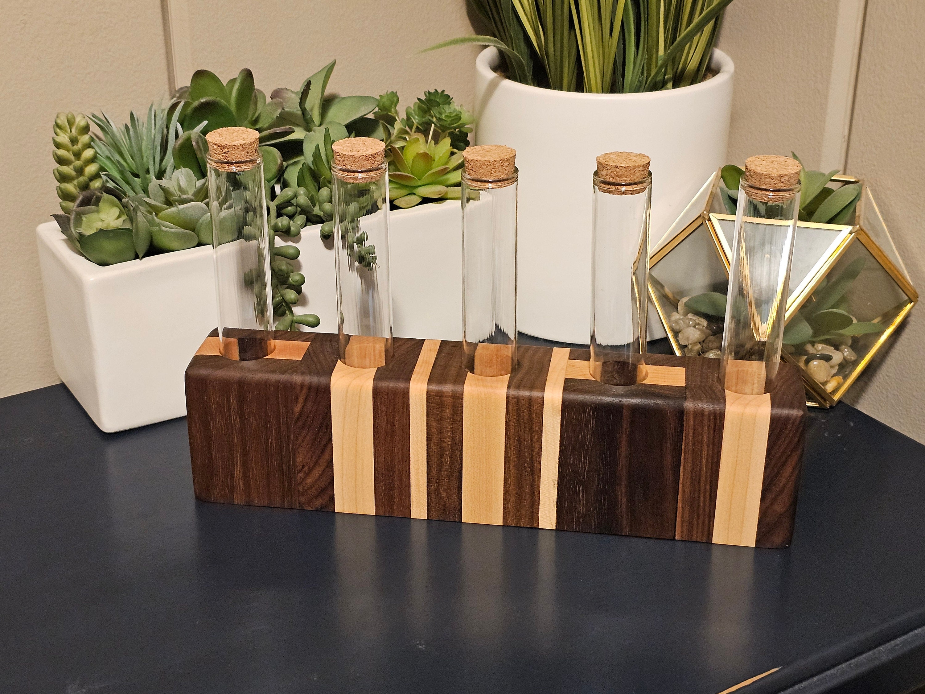 Plant Propagation Station - Etsy
