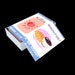 180+ Printable Japanese Food and Drink Flash Cards, Resource for ...