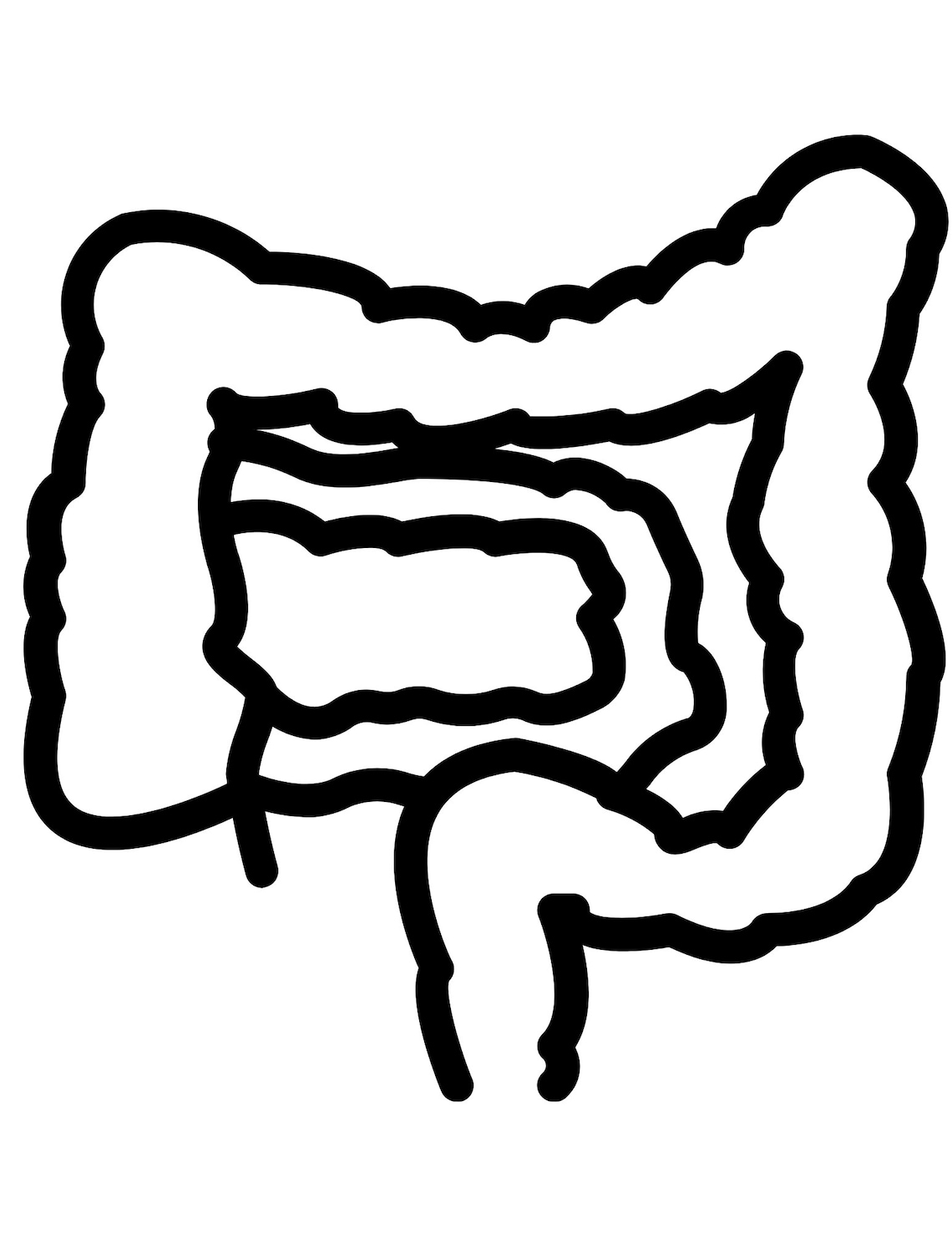 Organ Coloring Pages, Adult Coloring Pages, Printable Coloring Pages ...