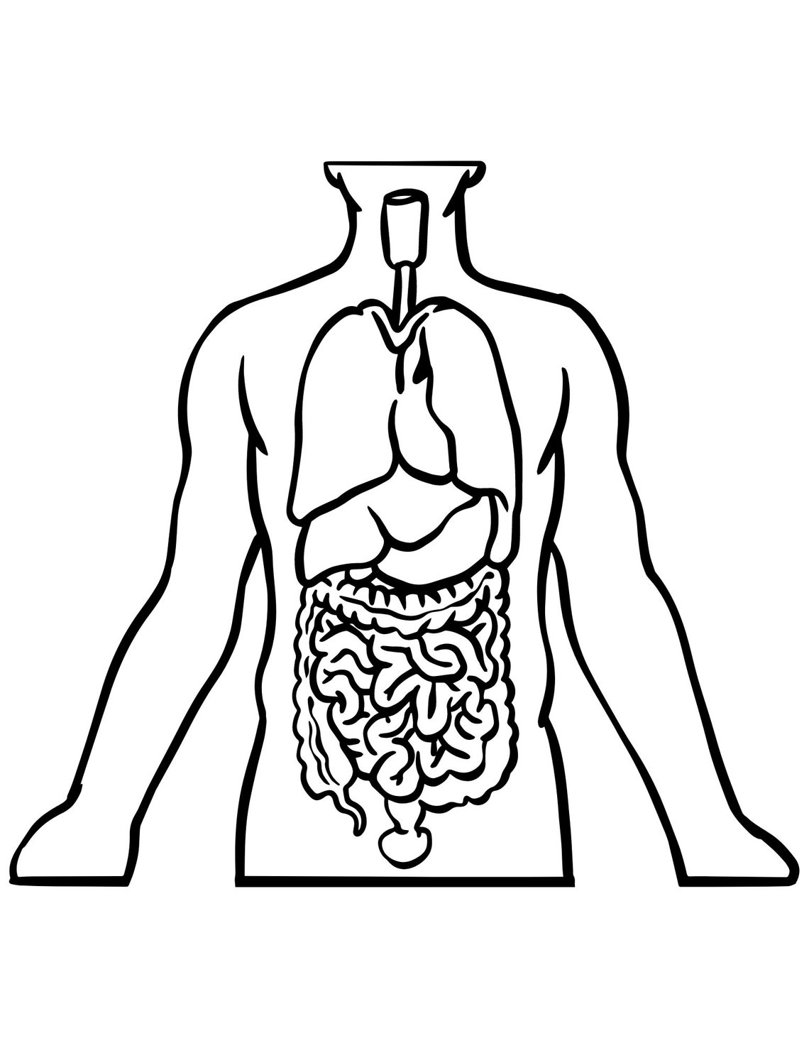 Organ Coloring Pages, Adult Coloring Pages, Printable Coloring Pages ...