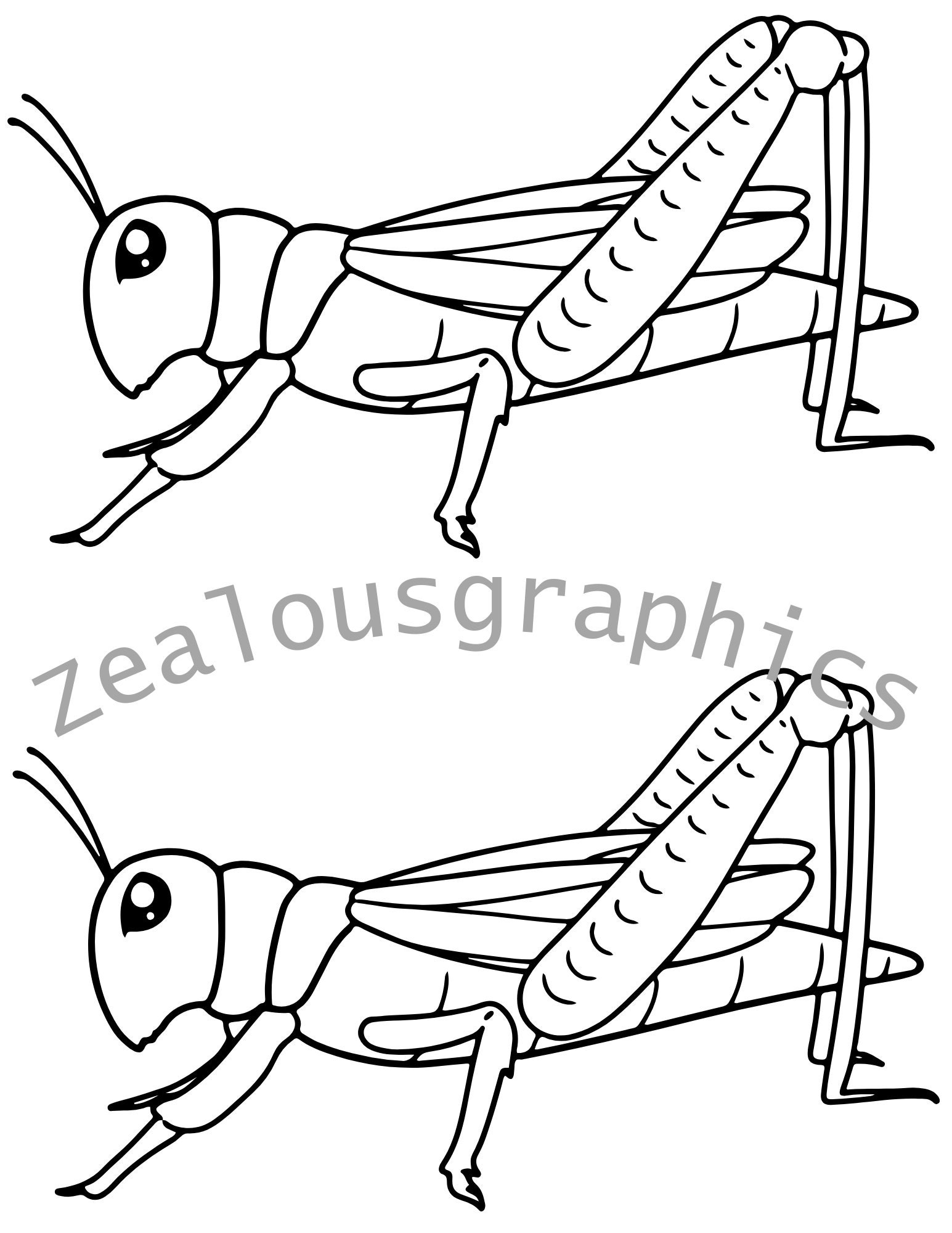 Insect Coloring Book, Coloring Pages Printable, Coloring Book Pages ...