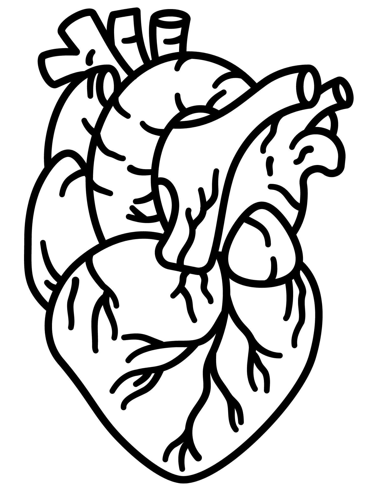 Organ Coloring Pages, Adult Coloring Pages, Printable Coloring Pages ...