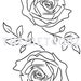 Roses Coloring Pages, Roses Flower Coloring Book, Stress Relief ...