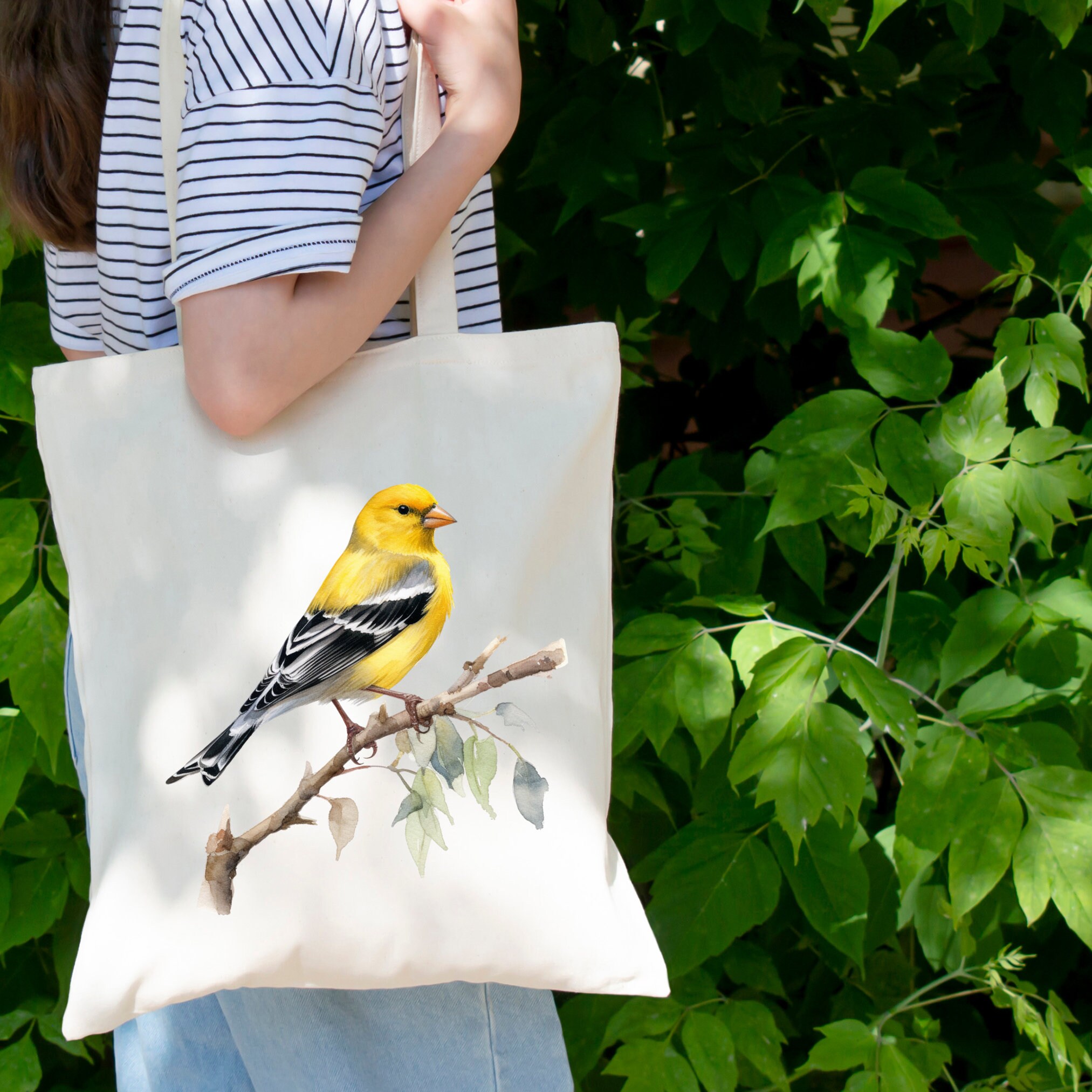 American Goldfinch Watercolor Clipart Transparent Background PNG ...