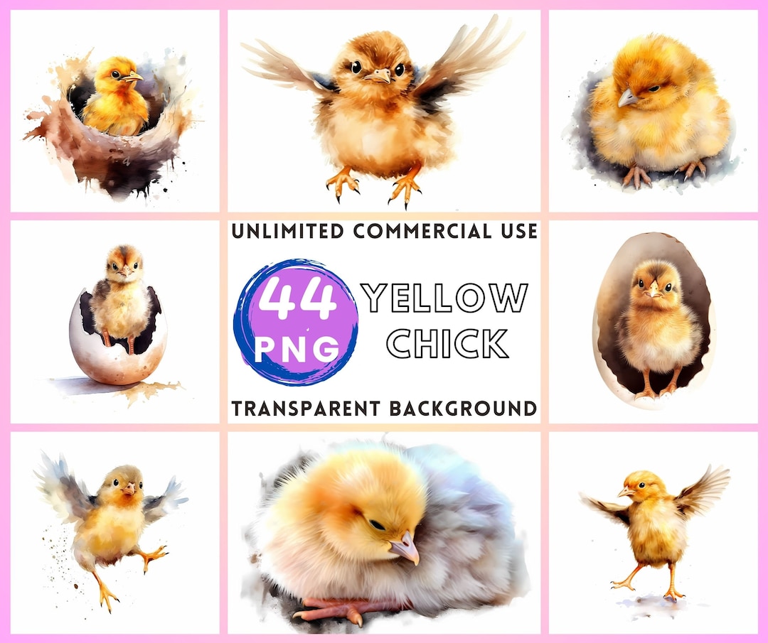 Yellow Chick Watercolor Clipart Transparent Background PNG Drawing ...