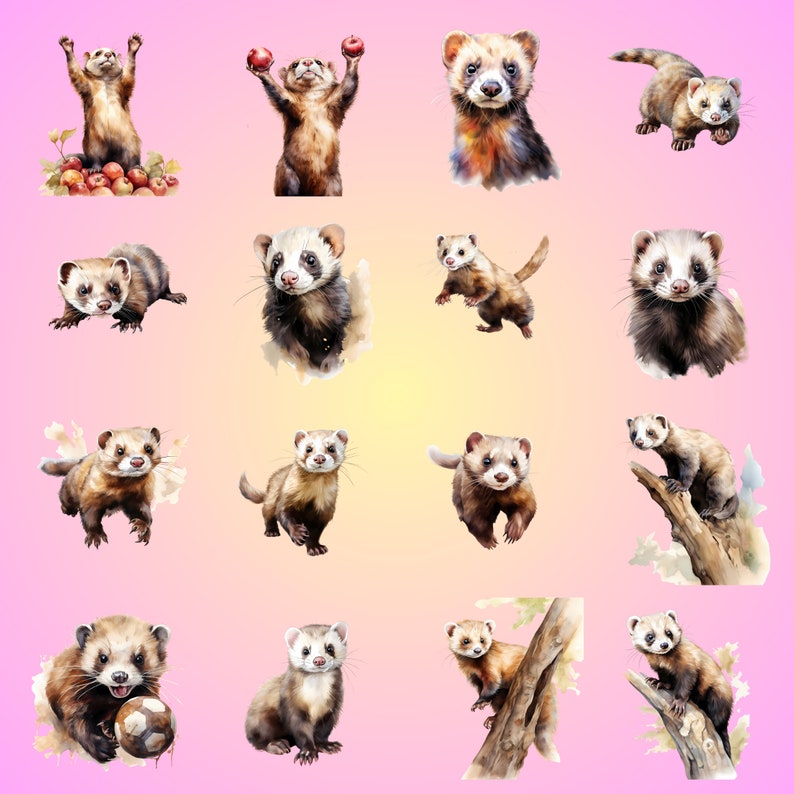 Ferret Watercolor Clipart Transparent Background PNG Drawing Crafting ...