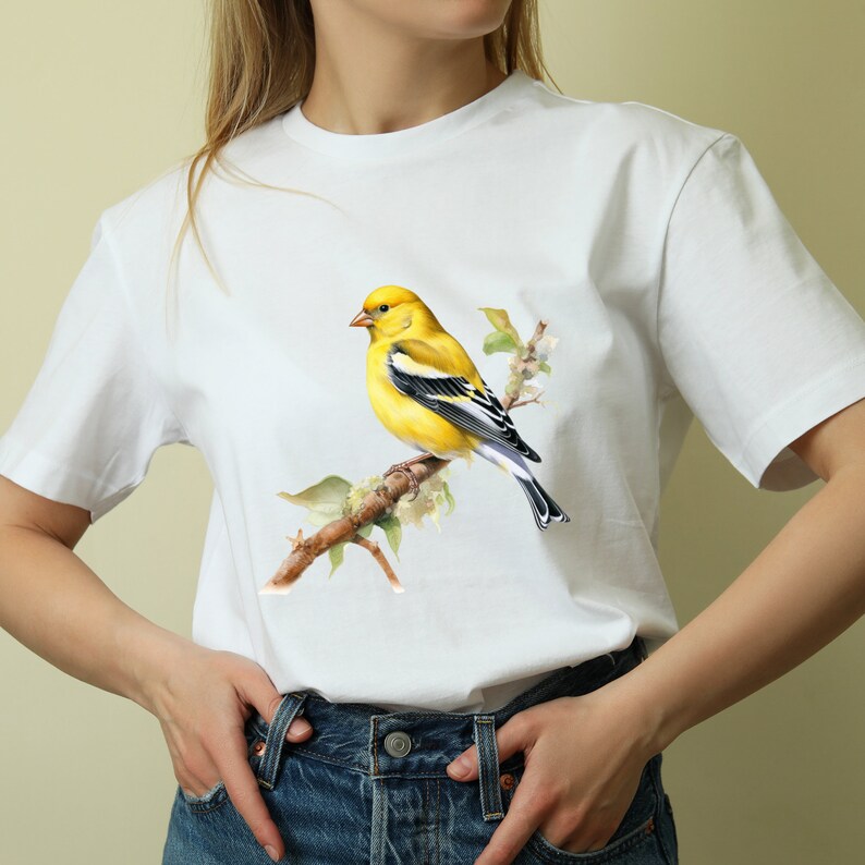 American Goldfinch Watercolor Clipart Transparent Background PNG ...