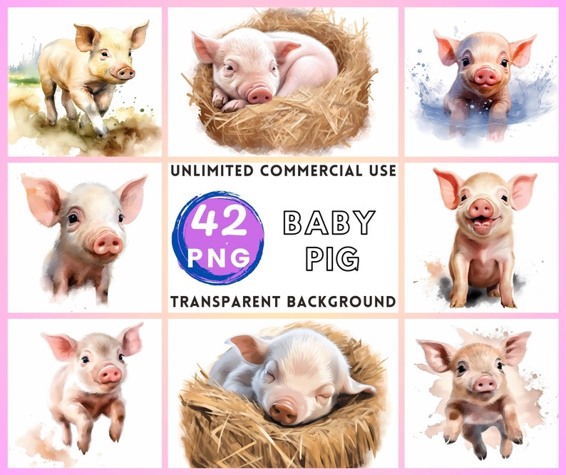 Baby Pig Watercolor Clipart Transparent Background PNG Drawing - Etsy