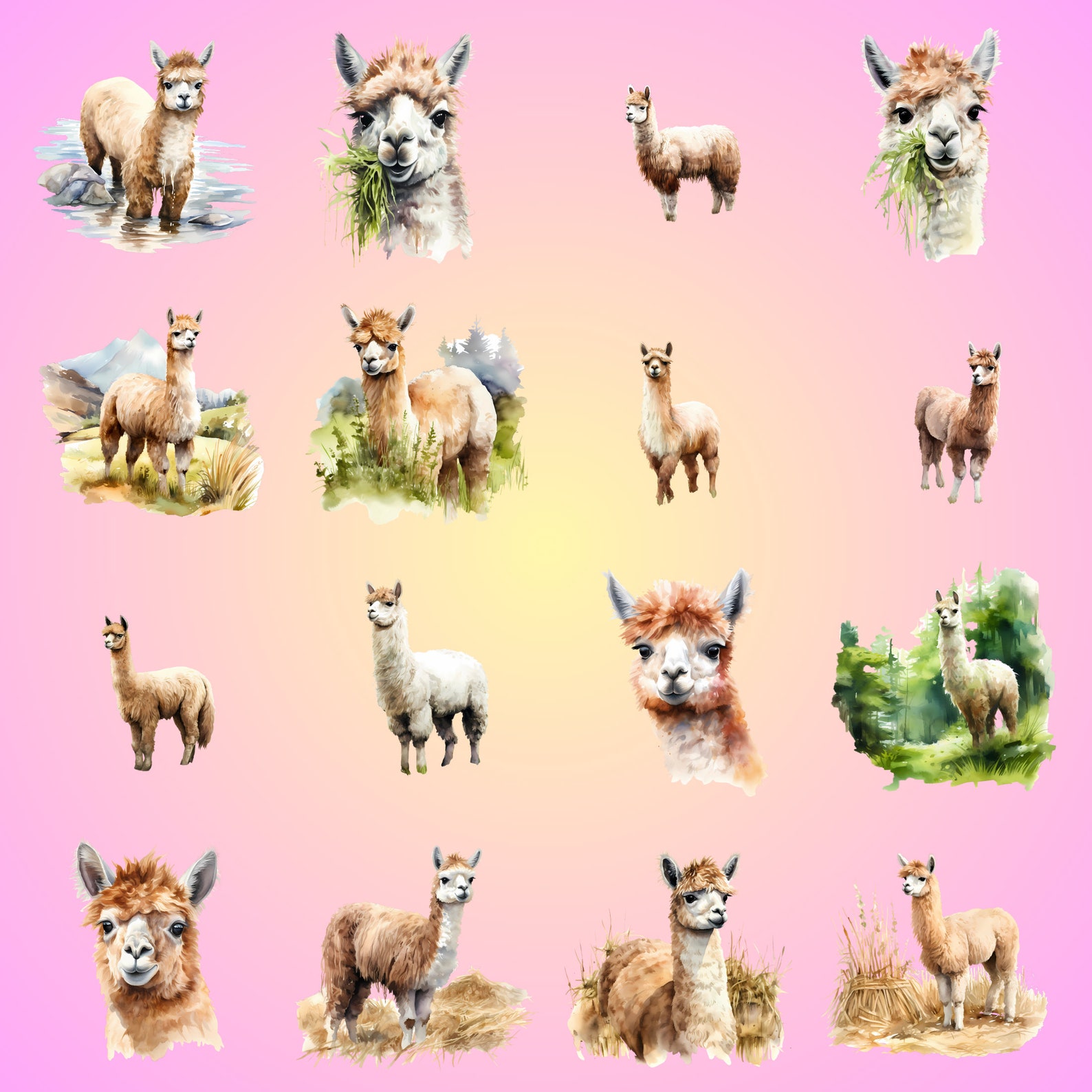 Alpaca Watercolor Clipart Transparent Background PNG Drawing Crafting ...