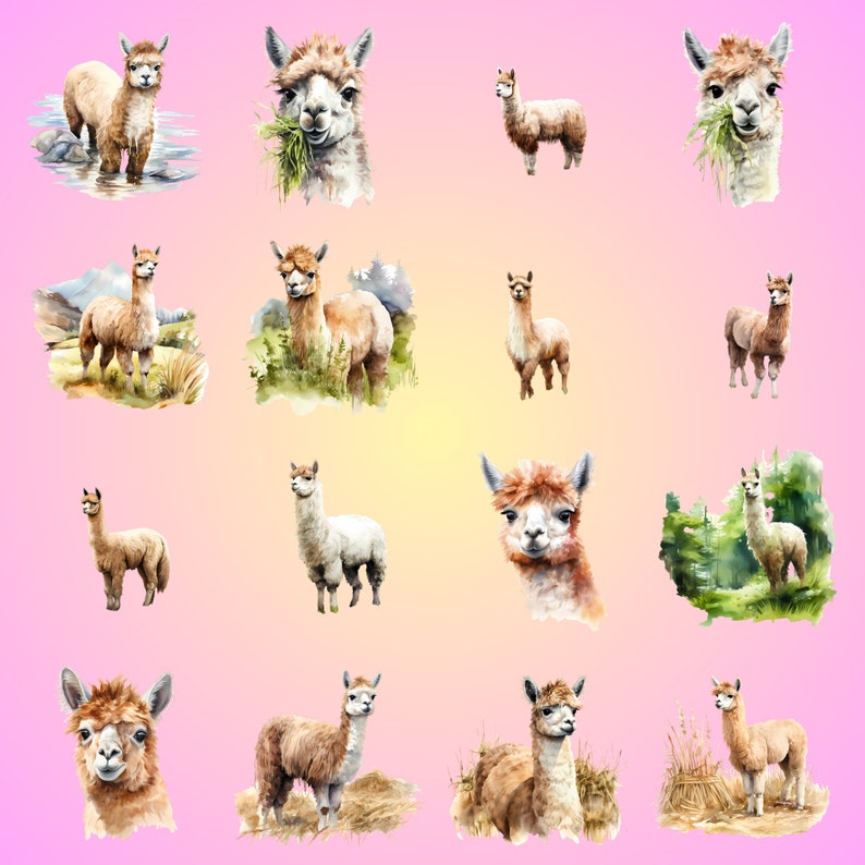 Alpaca Watercolor Clipart Transparent Background PNG Drawing Crafting ...