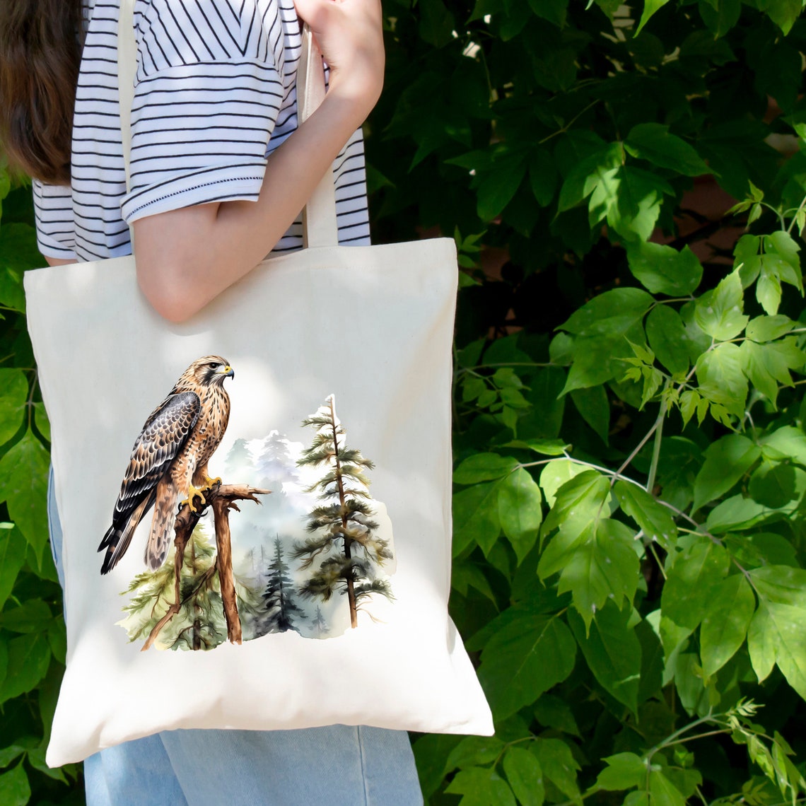 Falcon Watercolor Clipart Transparent Background PNG Drawing Crafting ...