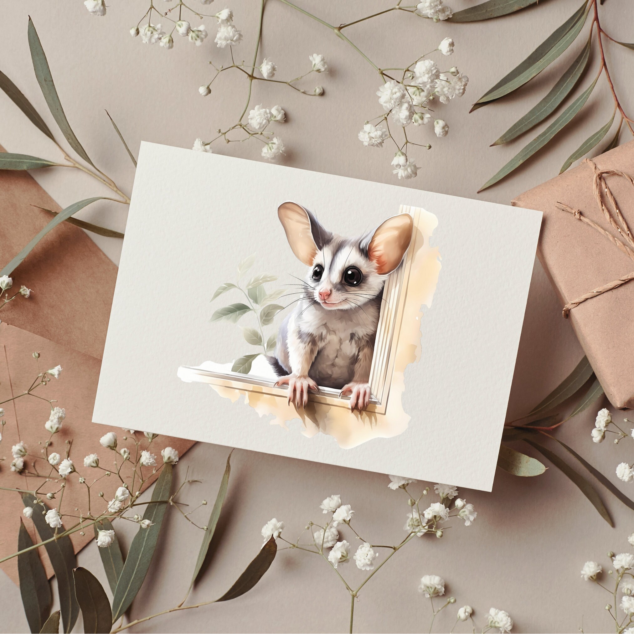Sugar Glider Watercolor Clipart Transparent Background PNG Drawing ...