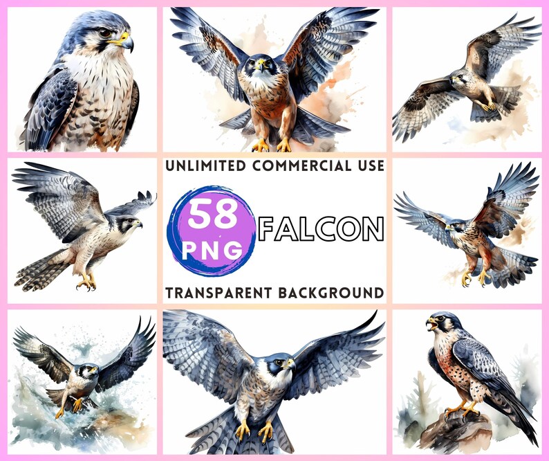 Falcon Watercolor Clipart Transparent Background PNG Drawing Crafting ...