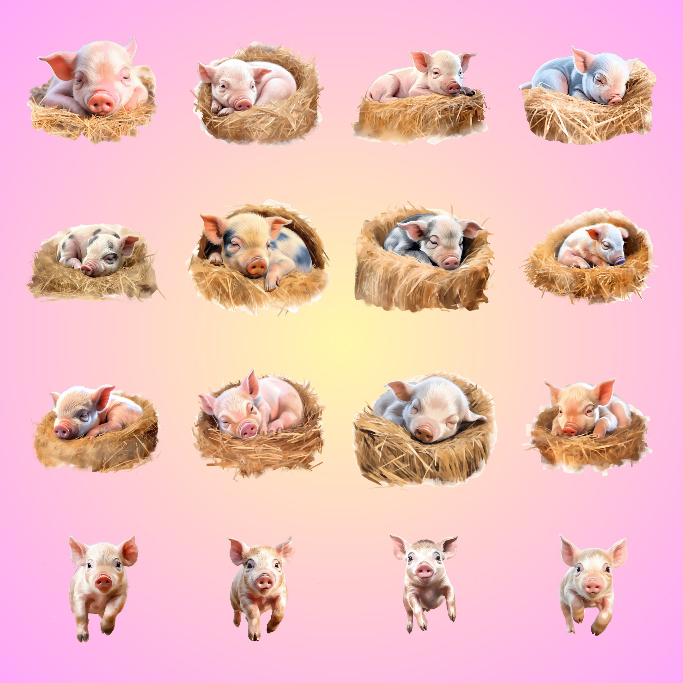 Baby Pig Watercolor Clipart Transparent Background PNG Drawing - Etsy
