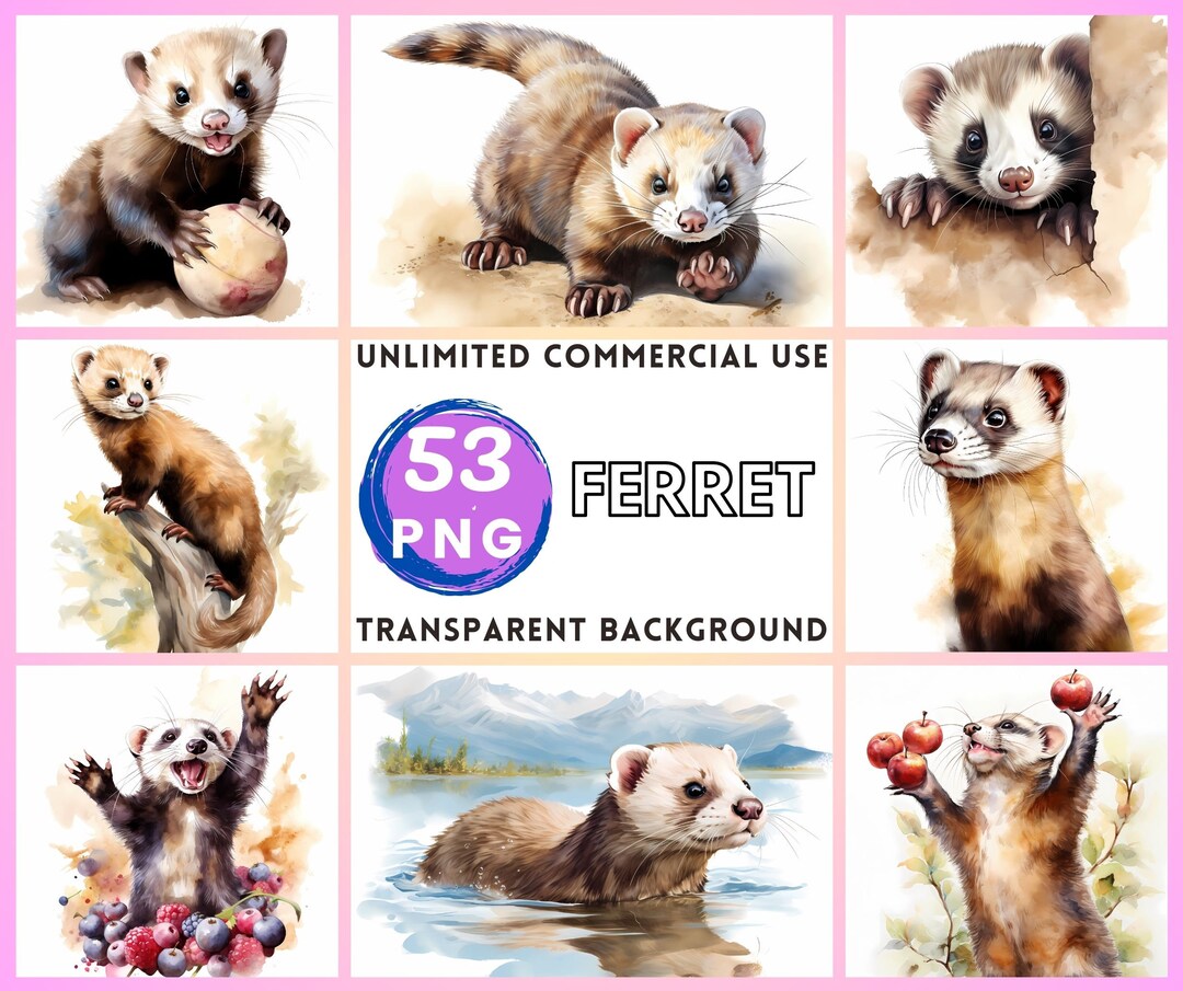 Ferret Watercolor Clipart Transparent Background PNG Drawing Crafting ...
