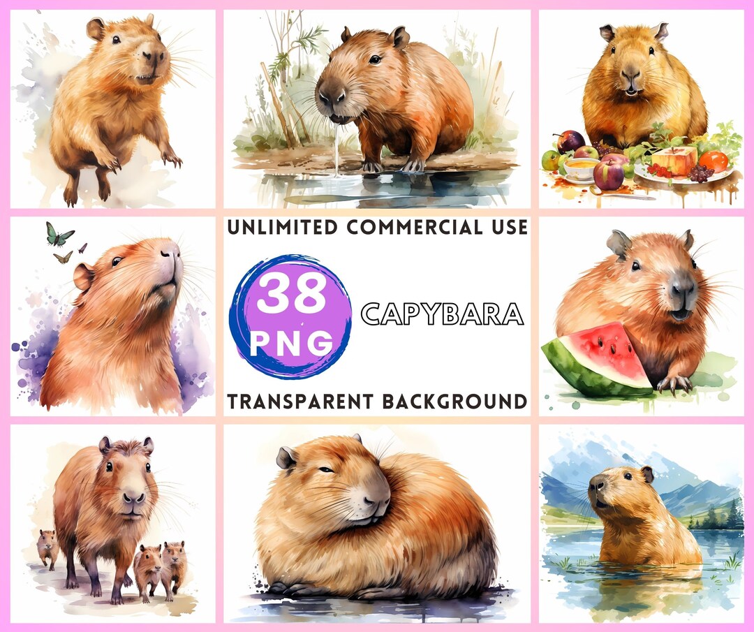 Capybara Watercolor Clipart Transparent Background PNG Drawing Crafting ...