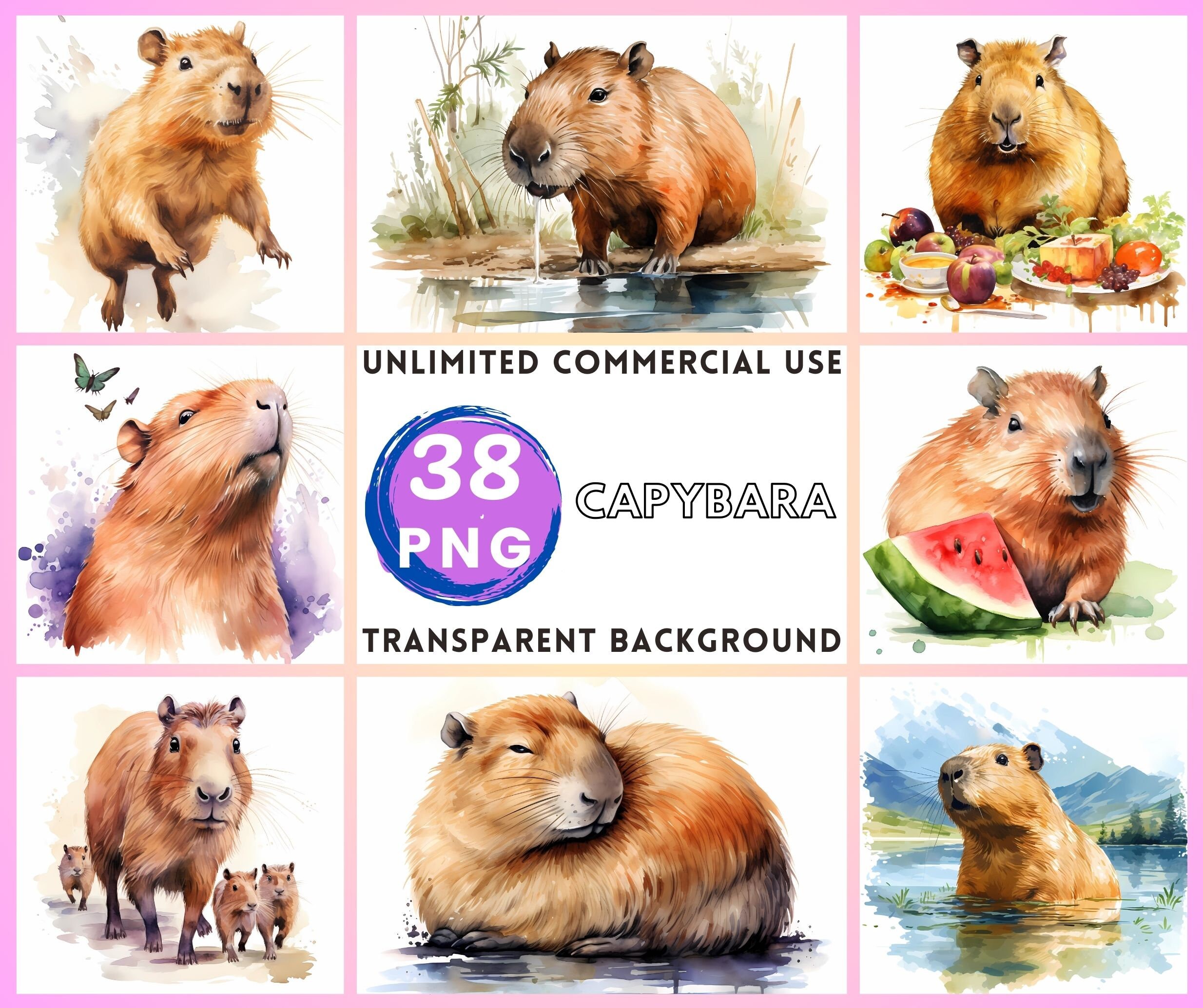 Capybara Watercolor Clipart Transparent Background PNG Drawing Crafting ...
