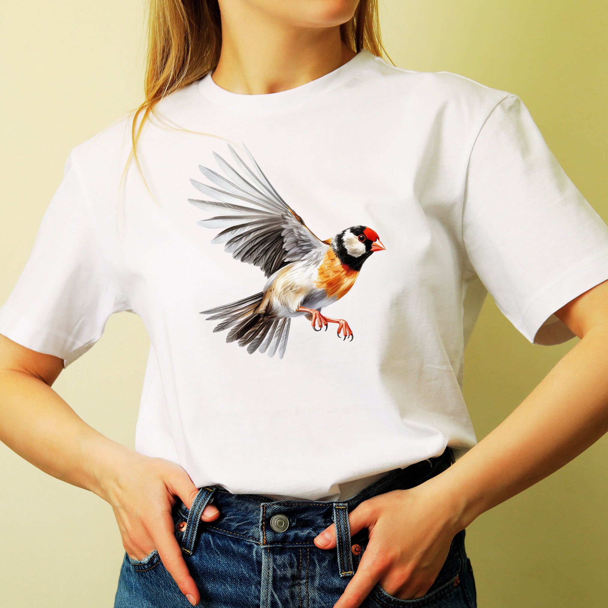 Zebra Finch Watercolor Clipart Transparent Background PNG Drawing ...