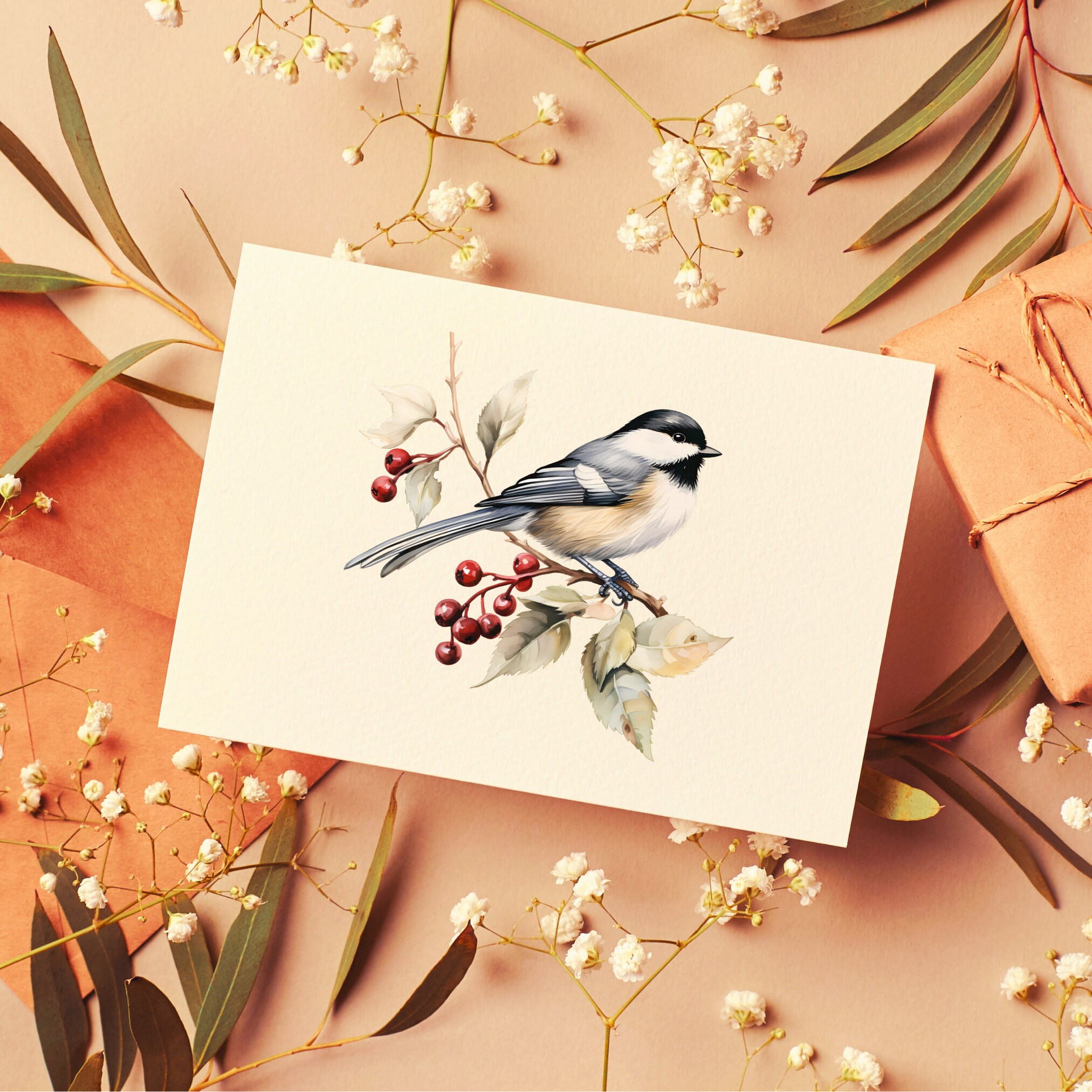 Chickadee Watercolor Clipart Transparent Background PNG Drawing ...