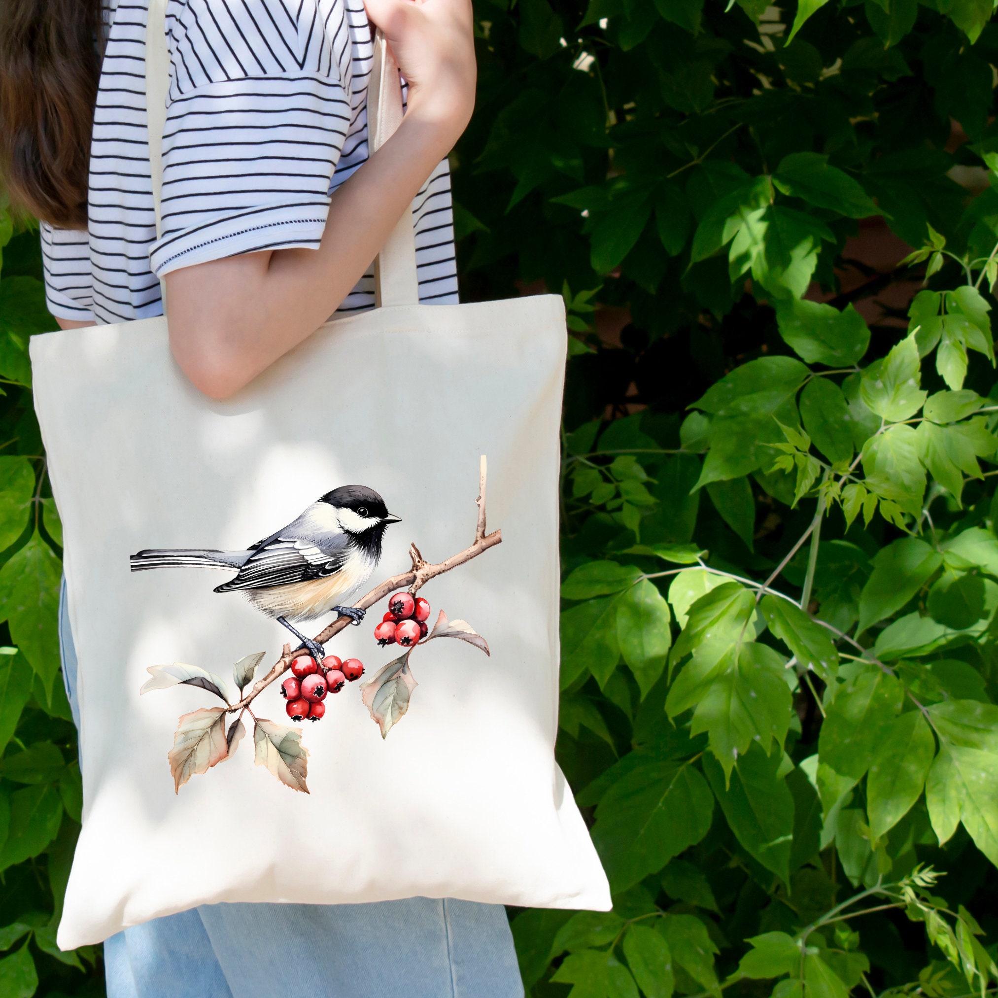 Chickadee Watercolor Clipart Transparent Background PNG Drawing ...