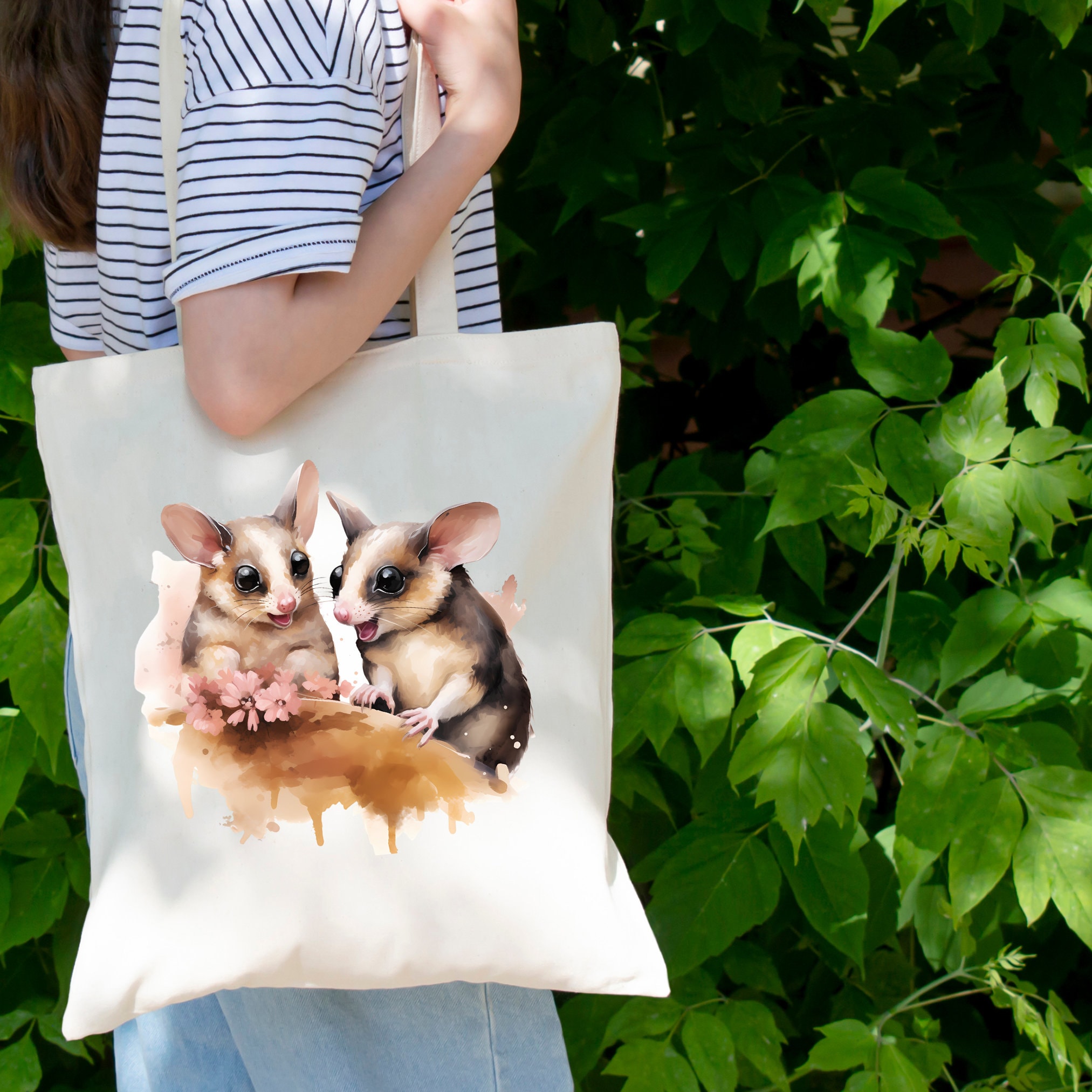 Sugar Glider Watercolor Clipart Transparent Background PNG Drawing ...