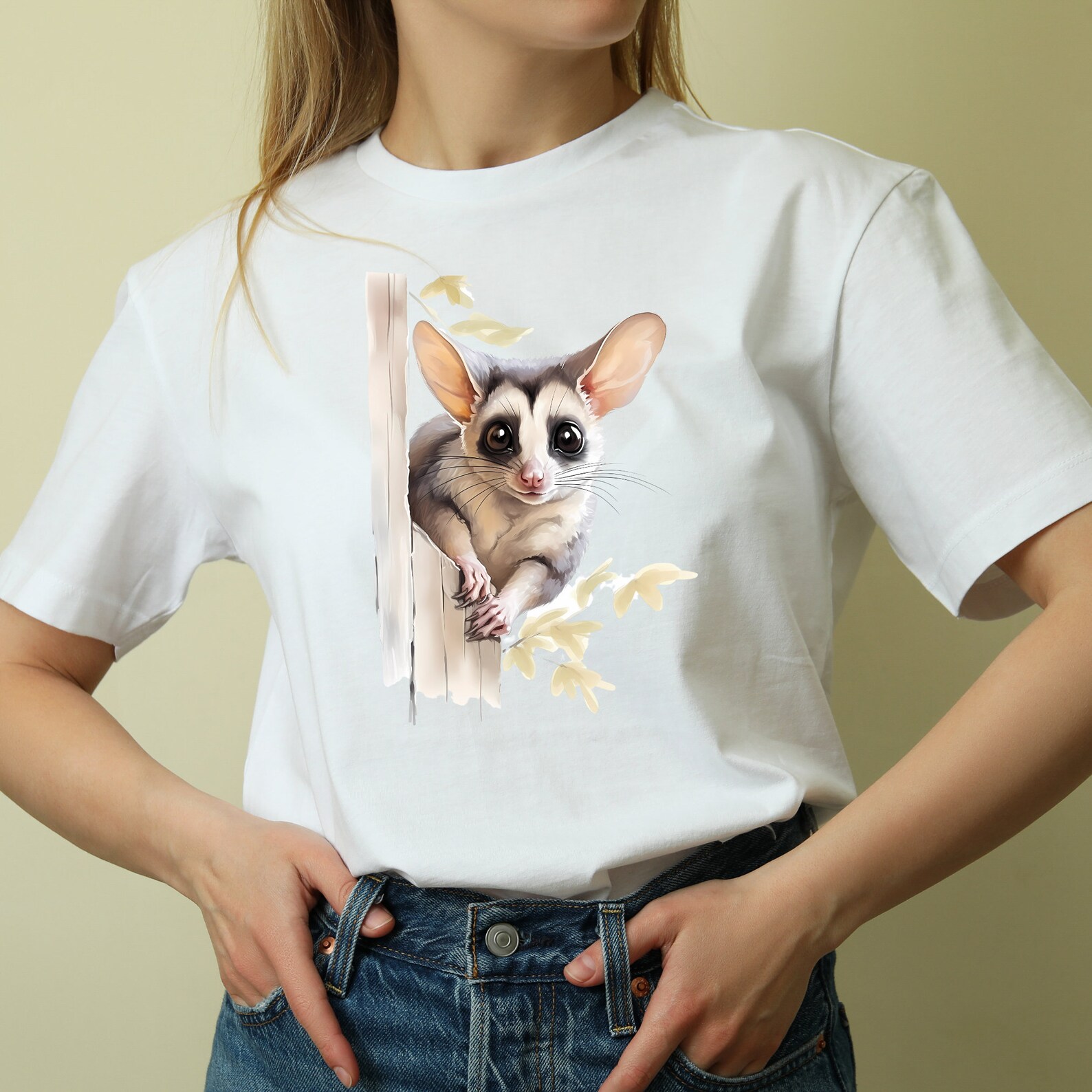 Sugar Glider Watercolor Clipart Transparent Background PNG Drawing ...