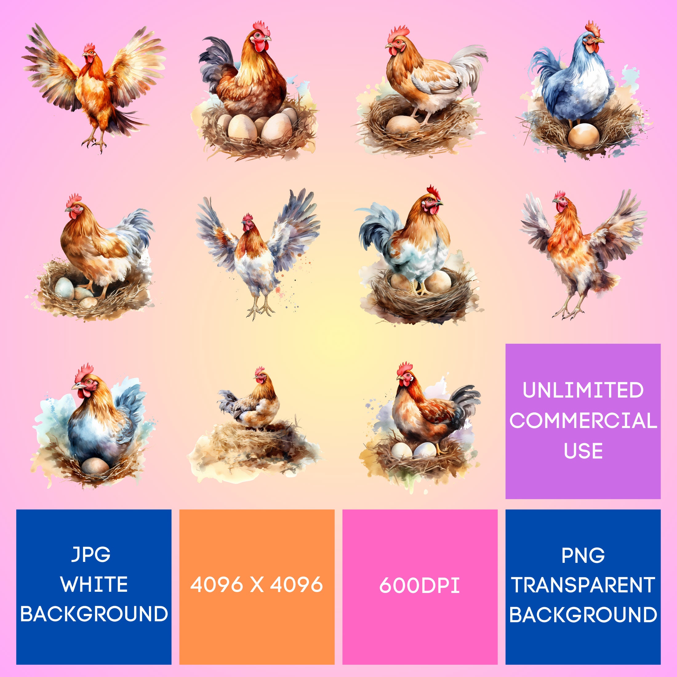 Chicken Watercolor Clipart Transparent Background PNG Drawing Crafting ...