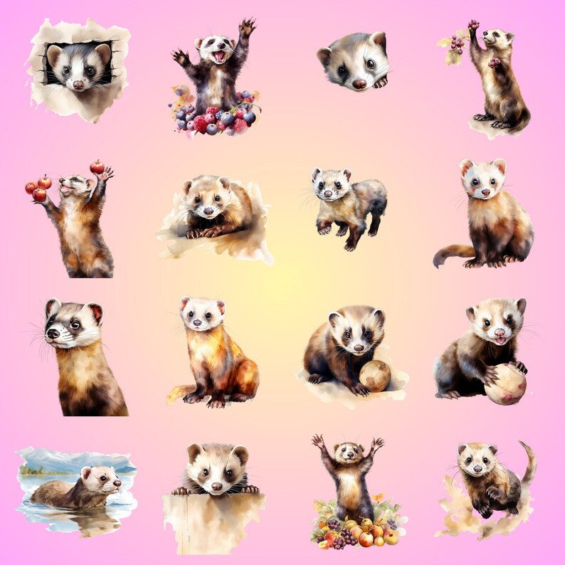 Ferret Watercolor Clipart Transparent Background PNG Drawing Crafting ...