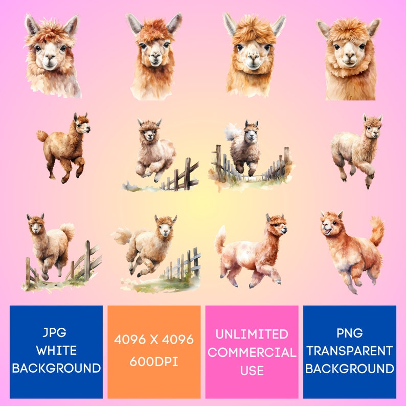 Alpaca Watercolor Clipart Transparent Background PNG Drawing Crafting ...