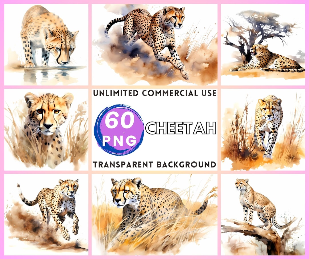 Cheetah Watercolor Clipart Transparent Background PNG Drawing Crafting ...