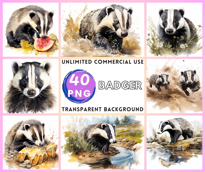 Badger Watercolor Clipart Transparent Background PNG Drawing Crafting ...