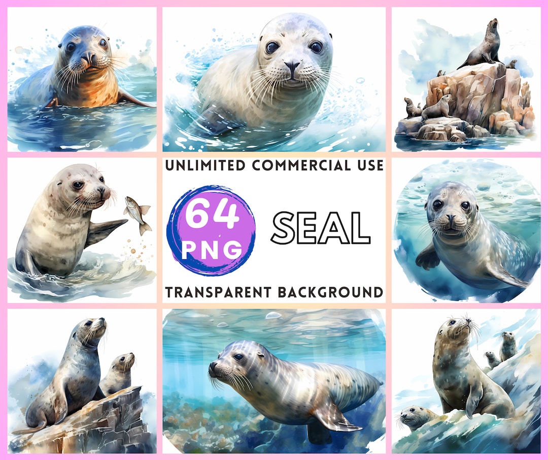 Seal Watercolor Clipart Transparent Background PNG Drawing Crafting ...