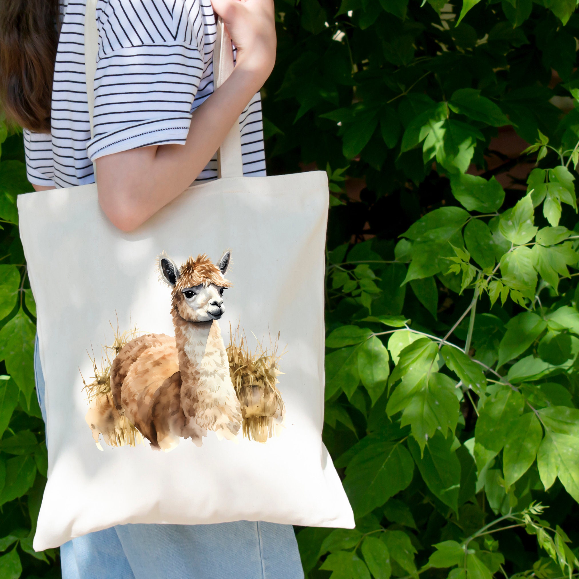 Alpaca Watercolor Clipart Transparent Background PNG Drawing Crafting ...