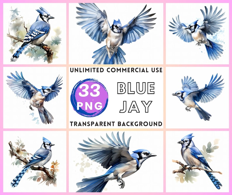 Blue Jay Watercolor Clipart Transparent Background PNG Drawing Crafting ...