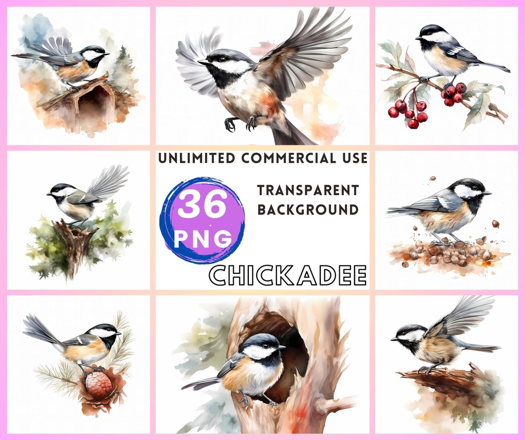 Chickadee Watercolor Clipart Transparent Background PNG Drawing ...