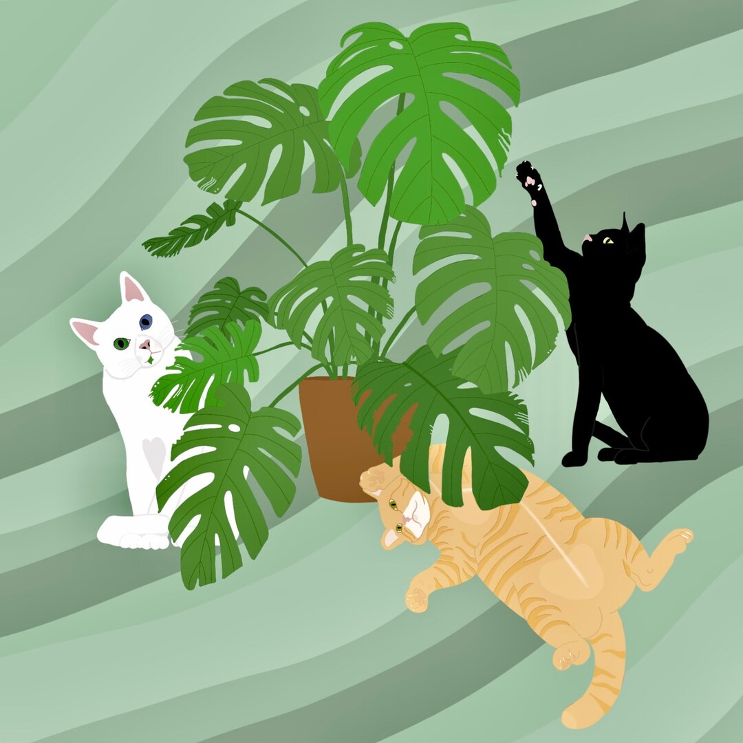 Cats VS Monstera - Etsy