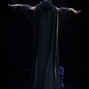 Raven Figure, 3D Printed, Painted Figure, Holiday Gift, Anime Figure ...