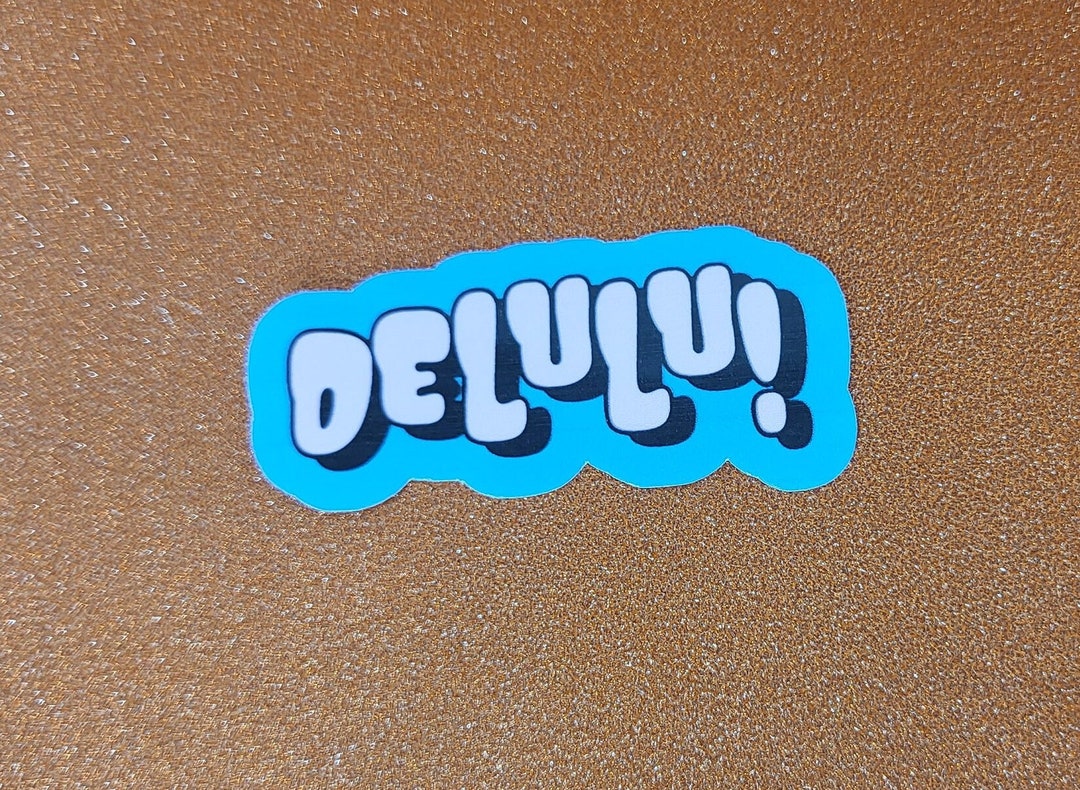 Delulu Tiktok Water Bottle Laptop or Other Accessory - Etsy