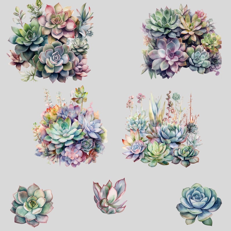 Watercolour Succulents Clipart Bundle, Digital Download, Plants ...
