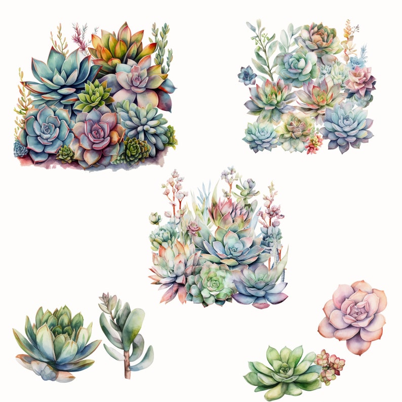 Watercolour Succulents Clipart Bundle, Digital Download, Plants ...