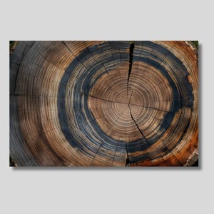 Natural Tree Rings Canvas Wall Art, Tree Ring Print of Stump, Tree ...