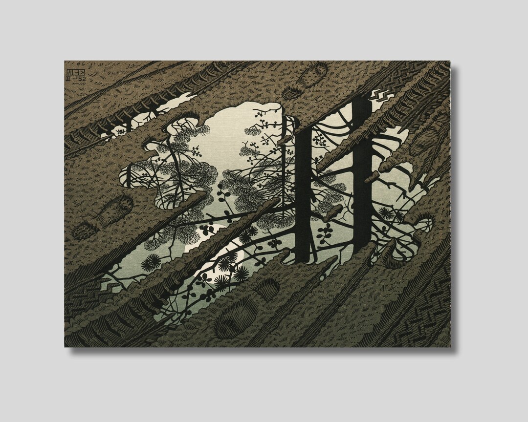 Puddle by Maurits Cornelis Escher Canvas Wall Art, Escher Canvas Print ...