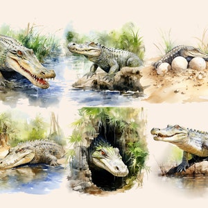 Crocodile Watercolor Clipart, Crocodile Clipart, Forest Clipart, Swamp ...