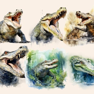Crocodile Watercolor Clipart, Crocodile Clipart, Forest Clipart, Swamp ...