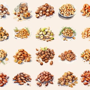 Nuts Watercolor Clipart Bundle, Wallnut PNG, Almond PNG, Nuts Clipart ...