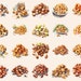 Nuts Watercolor Clipart Bundle, Wallnut PNG, Almond PNG, Nuts Clipart ...