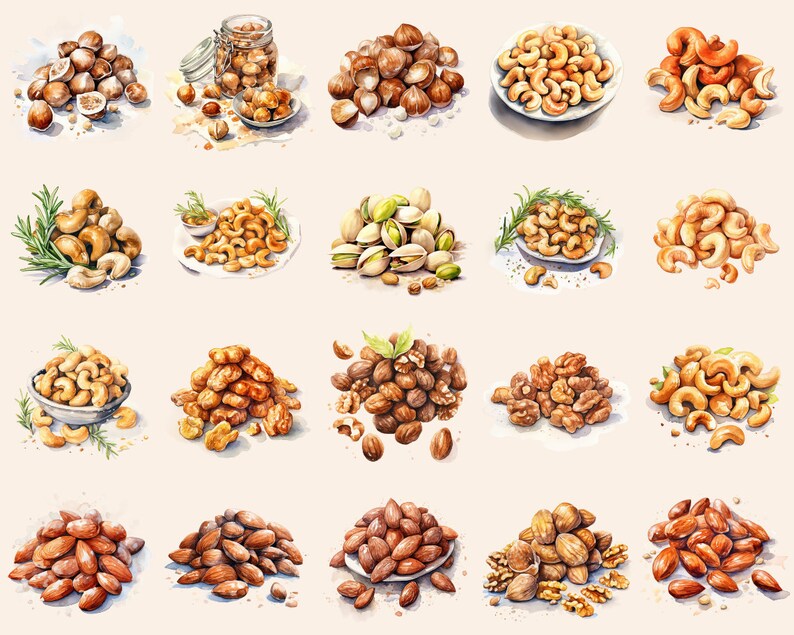 Nuts Watercolor Clipart Bundle, Wallnut PNG, Almond PNG, Nuts Clipart ...